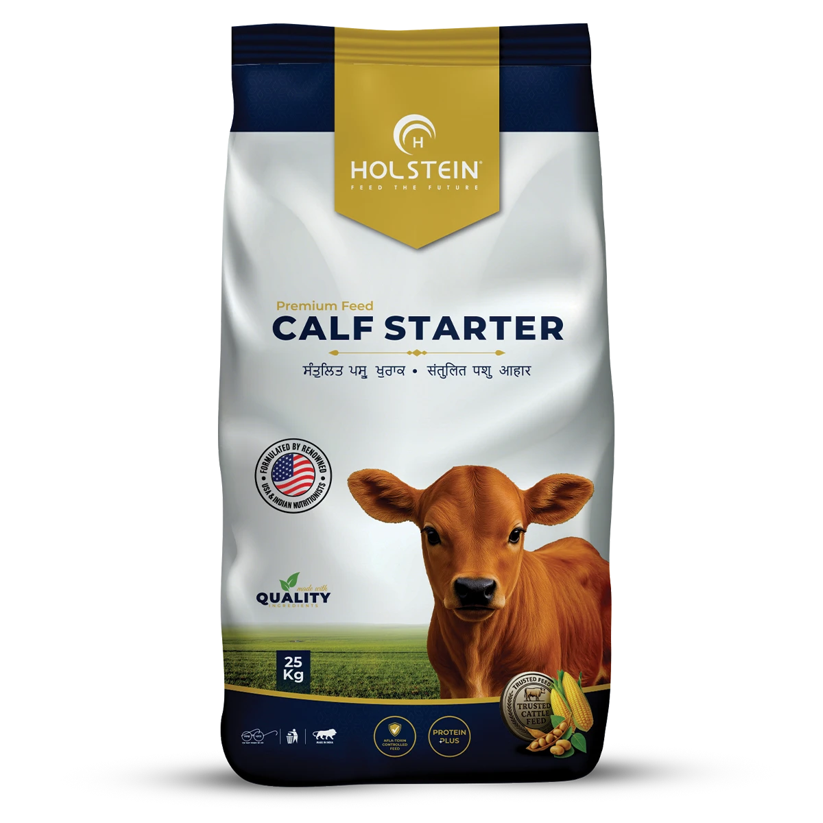 Calf Starter | Early Rumen Development & Immunity | Holstein