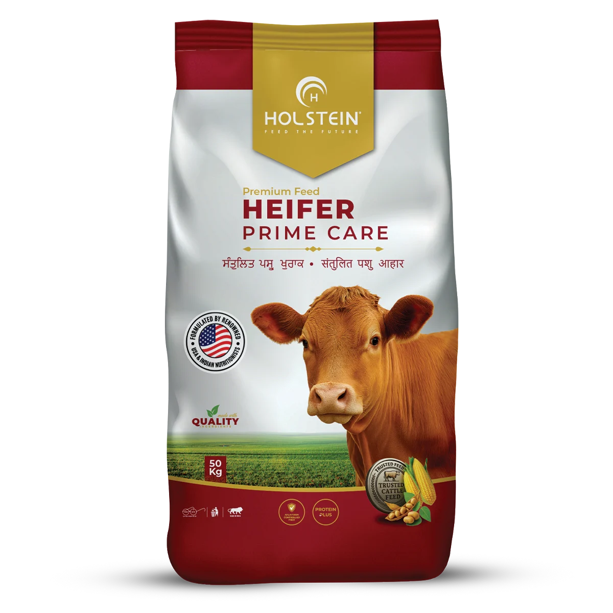 Heifer Prime Care | Frame Growth, Body Condition & Fertility