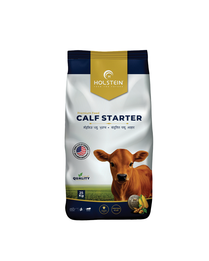 Best Calf Feeds in Punjab | High-Quality Calf Starter Feed