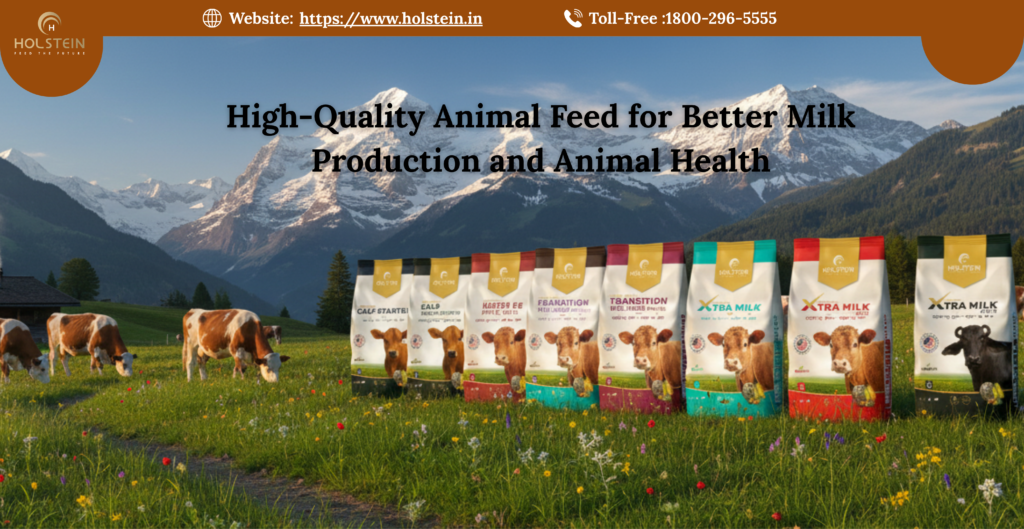High-Quality Animal Feed for Better Milk Production.